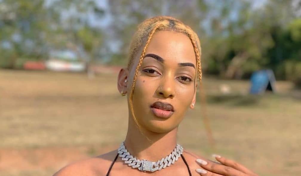 Yolo The Queen Height, Weight, Measurements, Age, Wiki, Biography